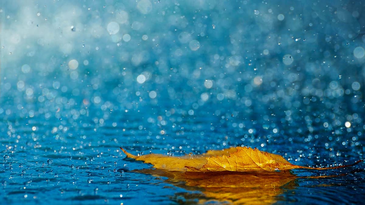 Water & Wastewater Jobs & Recruiting Platform - BC Water Jobs
