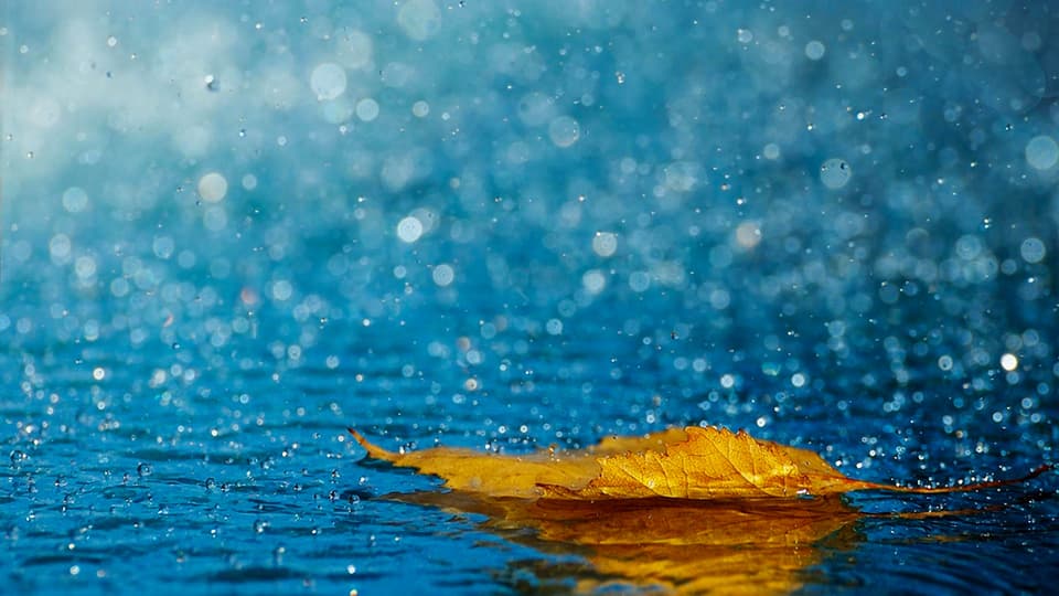 Why BCWJ - BC Water Jobs