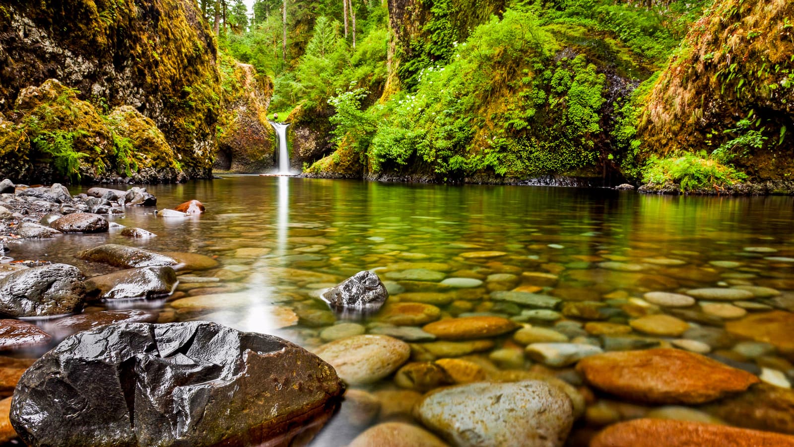 Water & Wastewater Jobs & Recruiting Platform - BC Water Jobs