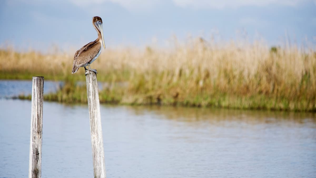 Water & Wastewater Jobs & Recruiting Platform - BC Water Jobs